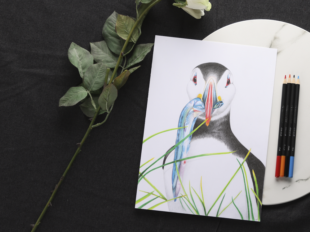 Creëer een meesterwerk met potloden in vele kleuren.