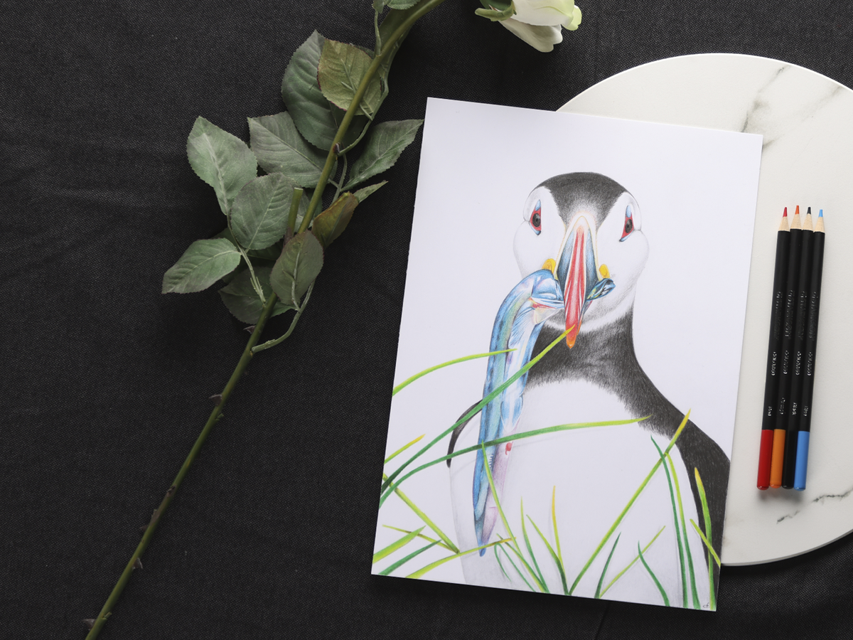 Creëer een meesterwerk met potloden in vele kleuren.